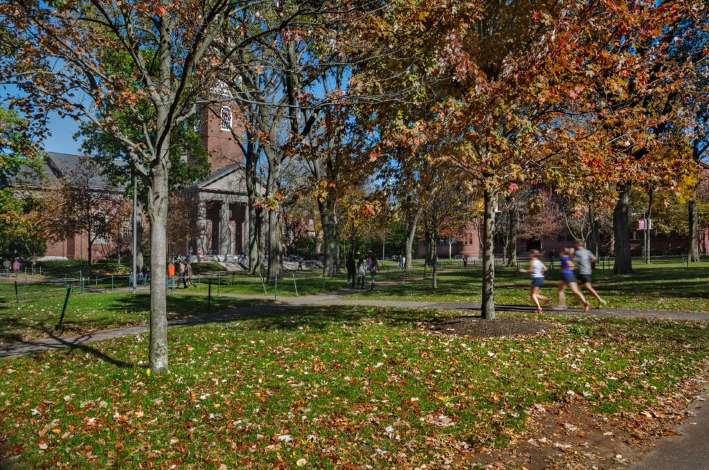 141027_058C - Halka Nurseries